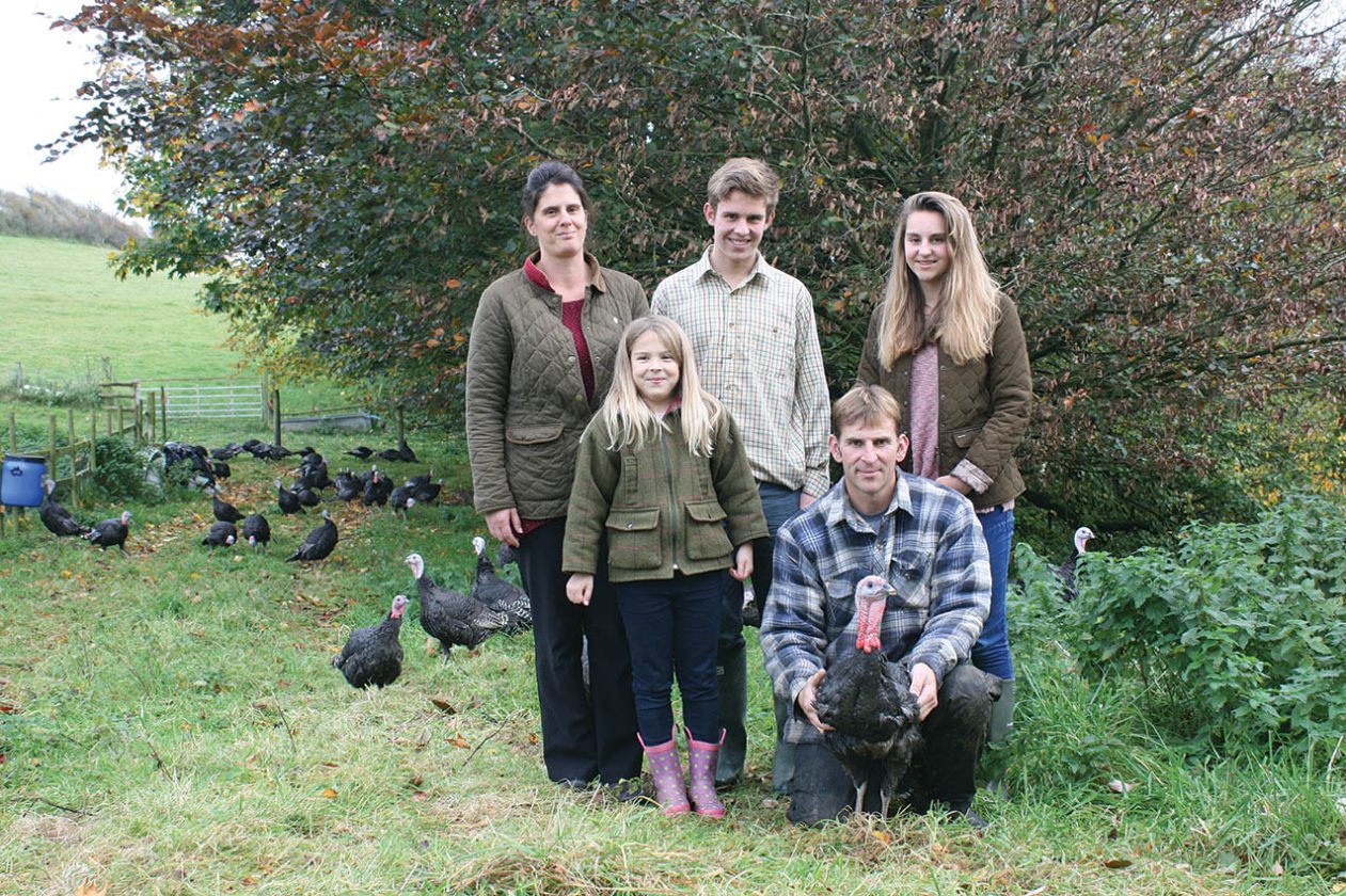 Talking Turkey by Margery Hookings » Articles - Marshwood Vale Magazine