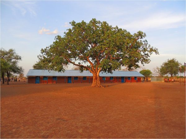 Under Tree Schools » Articles, Features - Marshwood Vale Magazine