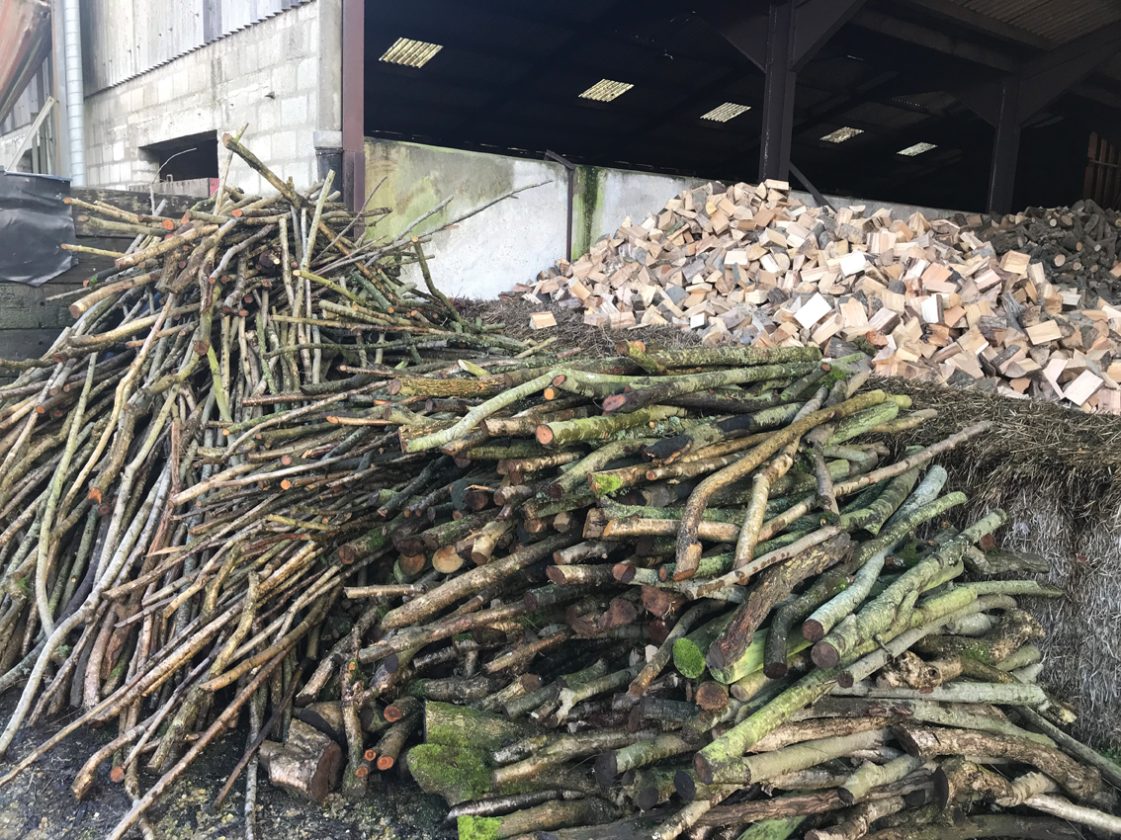 A New Look at Hedge Coppicing by Owen Day » Agriculture - Marshwood ...