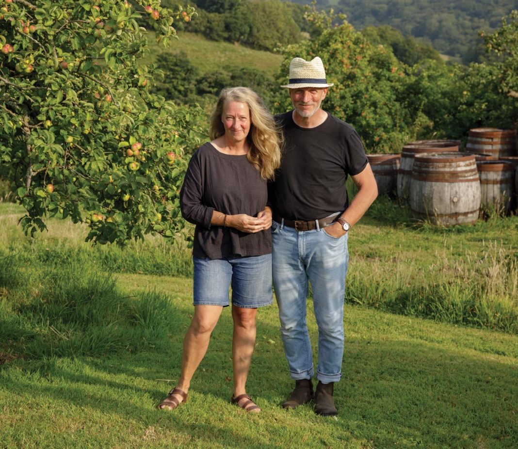 The Wild Silence » Articles - Marshwood Vale Magazine