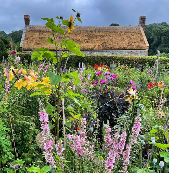Special Event Open Gardens » Gardening, Most Recent - Marshwood Vale ...