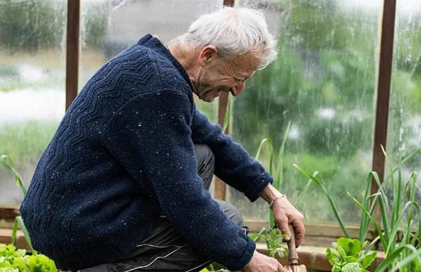 Compost - Expanding on his 'No Dig' gardening advice Charles Dowding ...