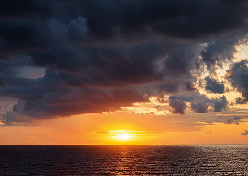 Tipping Point » Environment, Most Recent - Marshwood Vale Magazine